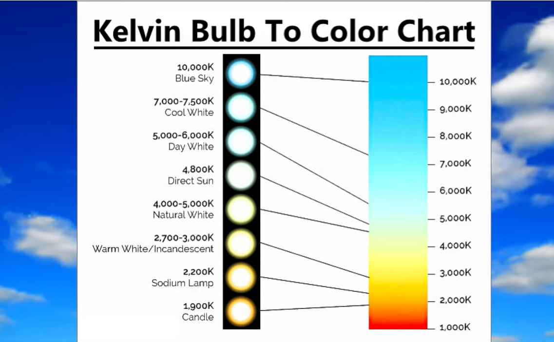 How Many Amps Does a Halogen Headlight Draw?